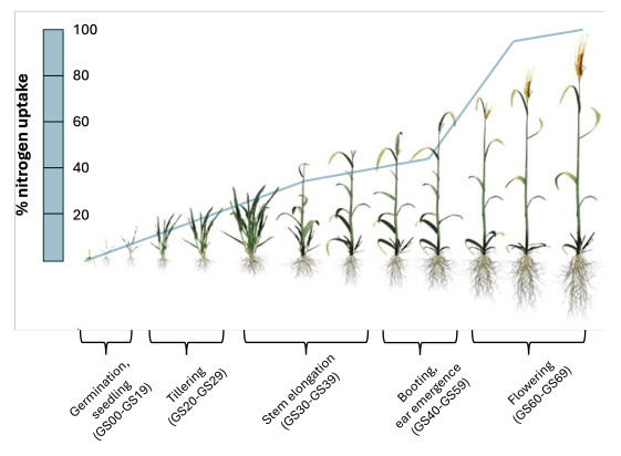Using SAR data as an effective surrogate for optical data in nitrogen variable rate applications ...