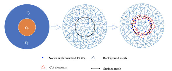 Enriched immersed boundary method for convective conjugate heat transfer with level set-based ...
