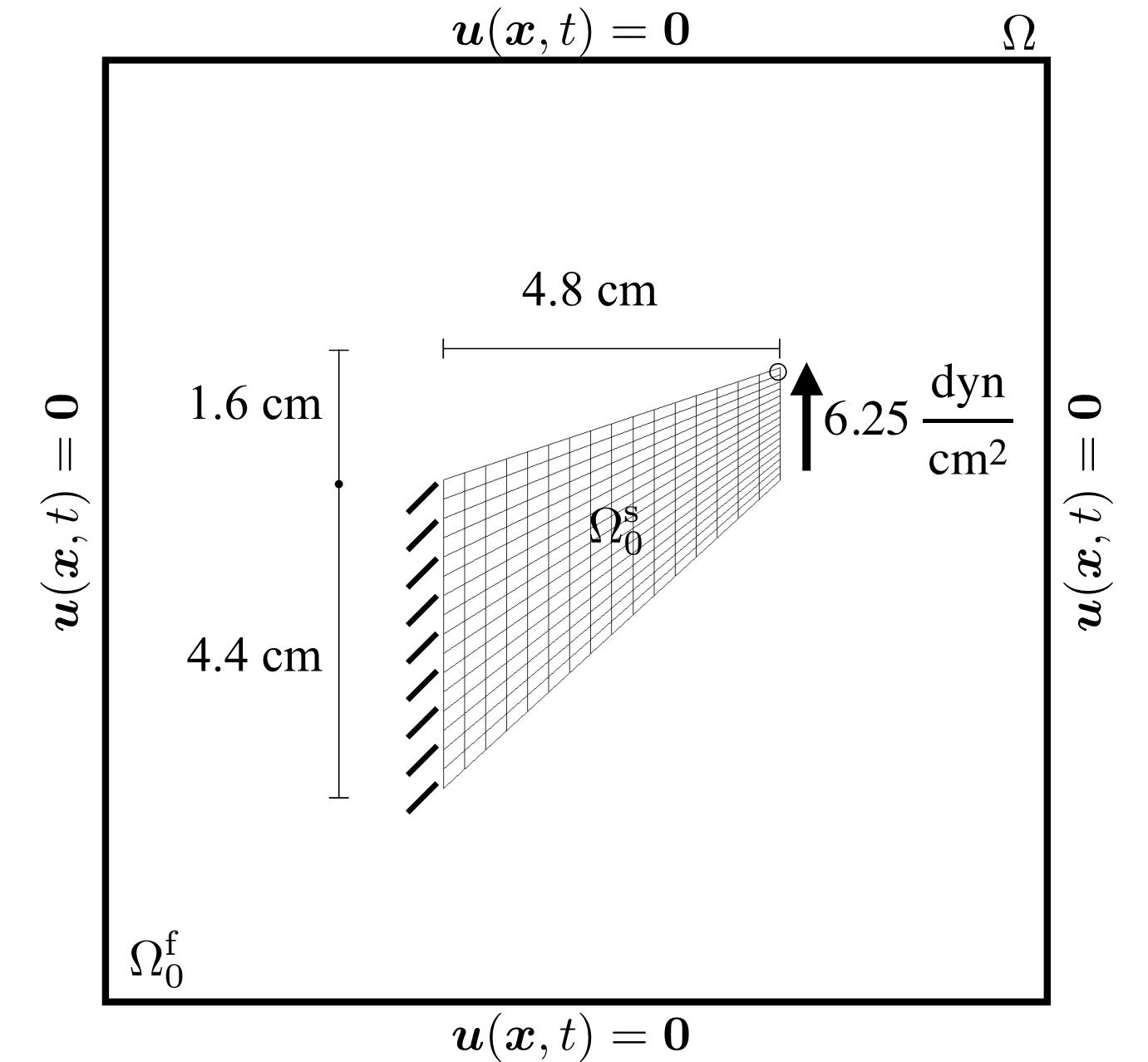 Local divergence-free immersed finite element-difference method using composite B-splines