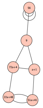 Loops, multi-edges and collisions in supersingular isogeny graphs
