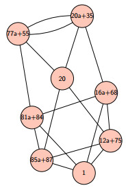 Loops, multi-edges and collisions in supersingular isogeny graphs