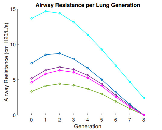 Estimation of airway resistance throughout the bronchial tree from ...
