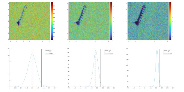 Empirical Bayesian inference for complex-valued signals using support-informed priors