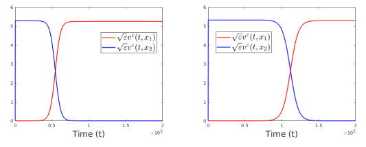 Slow convergence to equilibrium for an evolutionary epidemiology ...