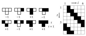 Permutation binary neural networks: Analysis of periodic orbits and its applications