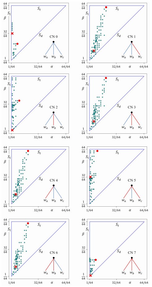 Permutation binary neural networks: Analysis of periodic orbits and its applications