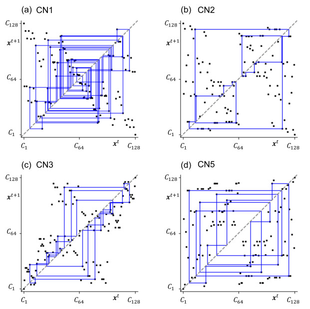 A variety of globally stable periodic orbits in permutation binary neural networks