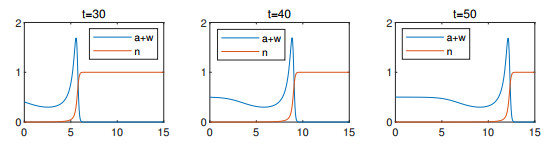 Modeling bacterial traveling wave patterns with exact cross-diffusion ...