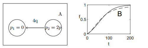 Compartmental limit of discrete Bass models on networks