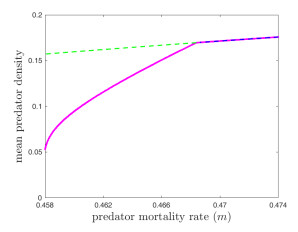 Understanding the hydra effect in predator-dependent functional response models