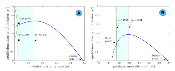 Understanding the hydra effect in predator-dependent functional response models
