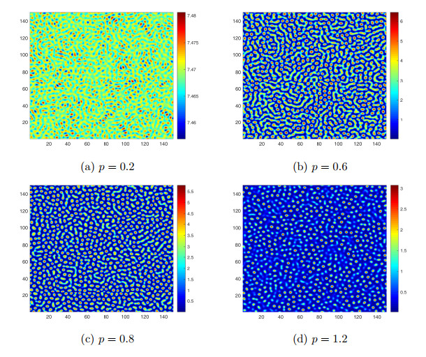 Positive steady-state solutions for a water-vegetation model with the ...