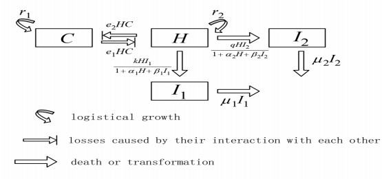 A stochastic HIV/HTLV-I co-infection model incorporating the AIDS ...