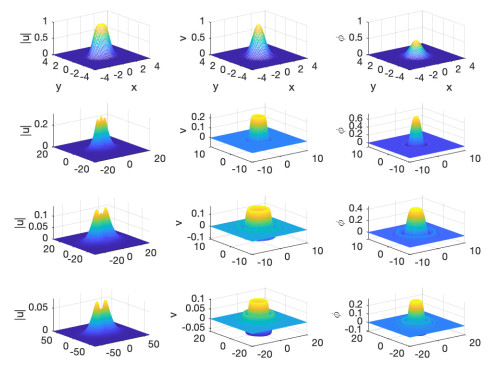 Fully-decoupled conservative exponential approaches for the coupled ...