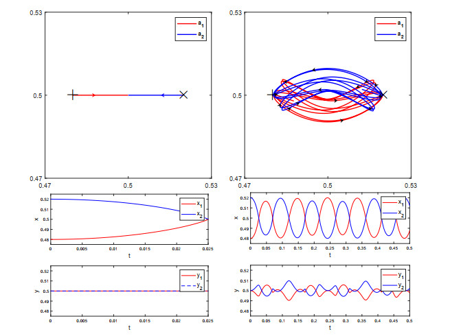 Quantized vortex dynamics of the nonlinear wave equation on the torus