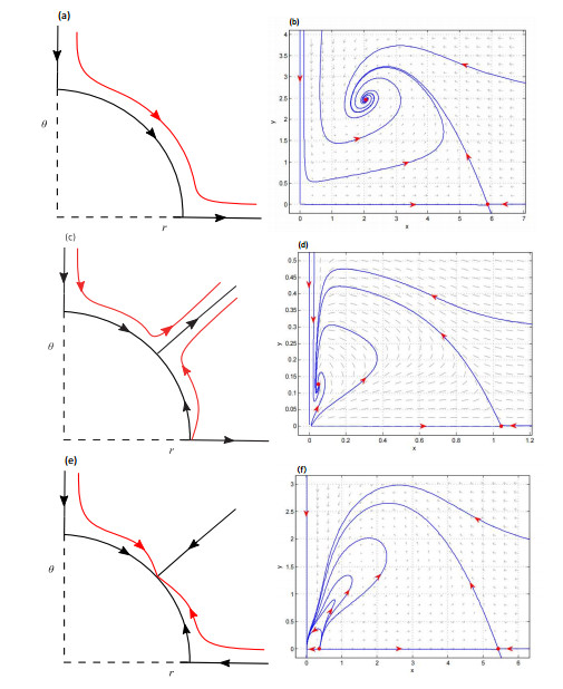 Complex dynamics induced by additive Allee effect in a Leslie-Gower ...