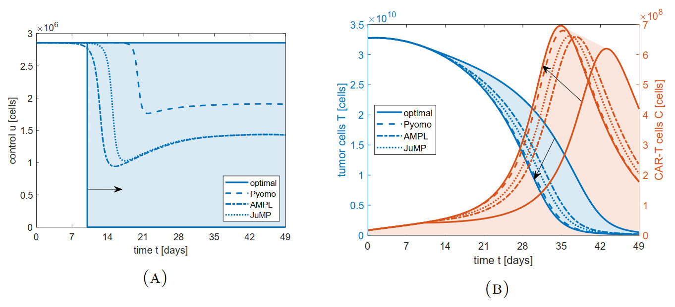 Optimal control of a mathematical model of CAR-T cell therapy for ...