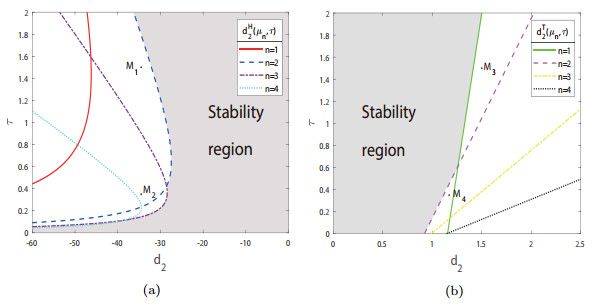 Dynamics of a diffusive two-species interaction model with memory effect