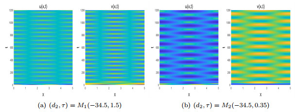 Dynamics of a diffusive two-species interaction model with memory effect