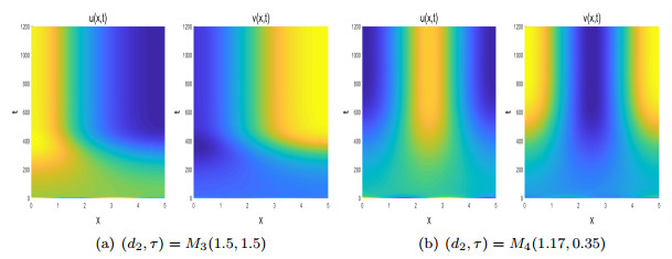Dynamics of a diffusive two-species interaction model with memory effect