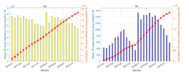 Dynamic analysis of a two-strain tuberculosis model with imperfect ...