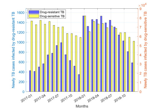 Dynamic analysis of a two-strain tuberculosis model with imperfect ...