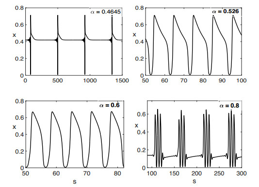 Complex oscillatory patterns in a three-timescale model of a generalist ...