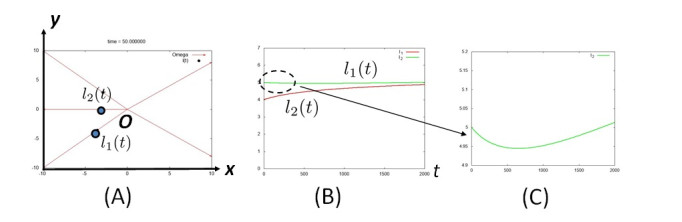 The dynamics of pulse solutions for reaction diffusion systems on a ...