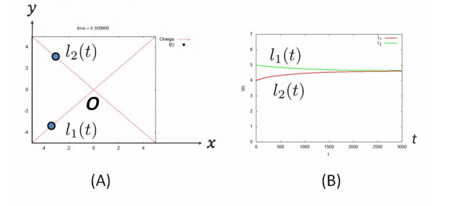 The dynamics of pulse solutions for reaction diffusion systems on a ...