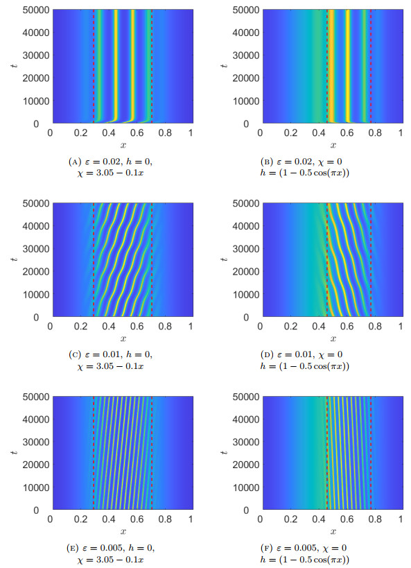 Spatial heterogeneity localizes turing patterns in reaction-cross-diffusion systems