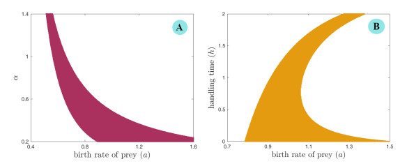Understanding the hydra effect in predator-dependent functional response models