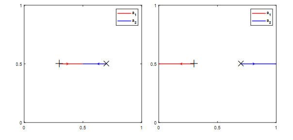 Quantized vortex dynamics of the nonlinear wave equation on the torus