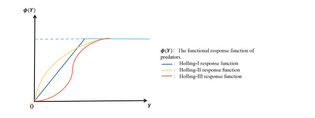 Bifurcation for a free boundary model of an atherosclerotic plaque ...