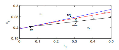 Determination of bifurcation parameters and complex dynamics in ...