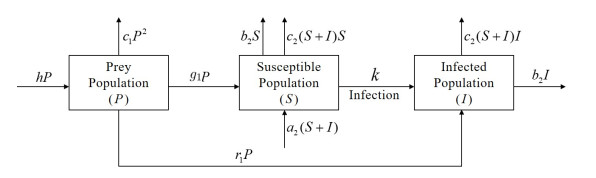 Influence of diseases transmission on the dynamics of a classical Lotka ...