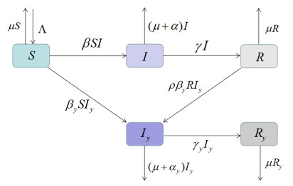 Virulence evolution and behavior game analysis with two strains of ...