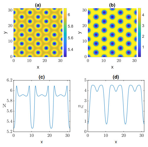 Turing instability and 2-D pattern formation in reaction-diffusion ...