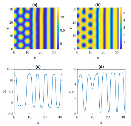 Turing instability and 2-D pattern formation in reaction-diffusion ...