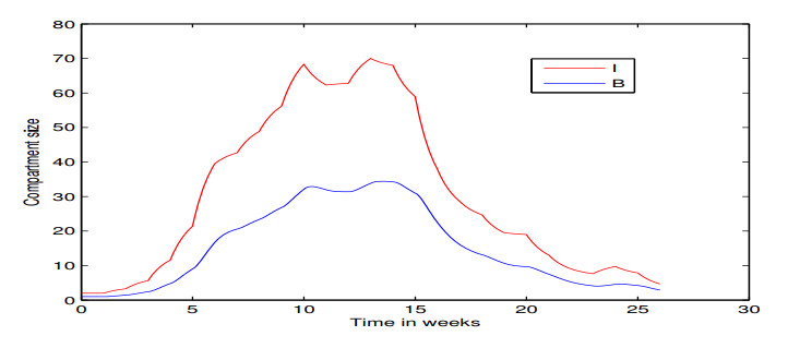 A stochastic population model of cholera disease
