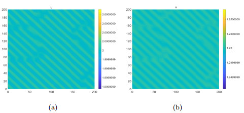 Pattern formation of Brusselator in the reaction-diffusion system
