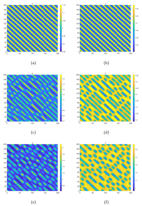 Pattern formation of Brusselator in the reaction-diffusion system
