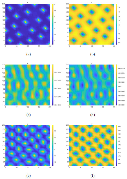 Pattern formation of Brusselator in the reaction-diffusion system