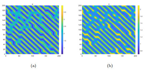 Pattern formation of Brusselator in the reaction-diffusion system