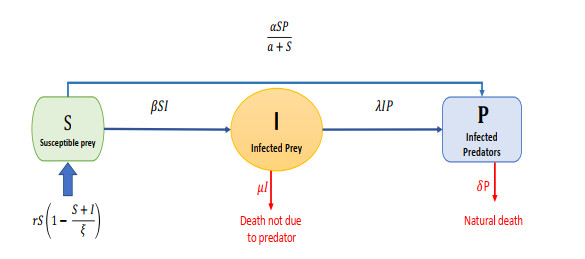 Dynamics investigation and numerical simulation of fractional-order ...