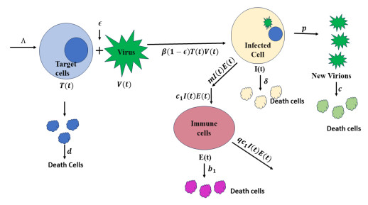 Threshold dynamics of time-delay in HIV infection model with immune ...
