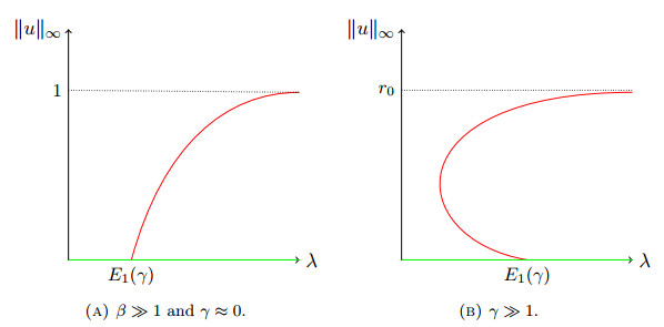 Analysis of bifurcation diagrams for positive solutions for classes of ...
