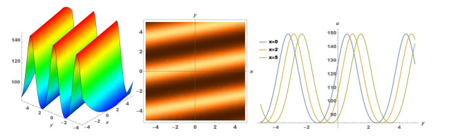 Novel exact solutions and conserved vectors of the first extended ...