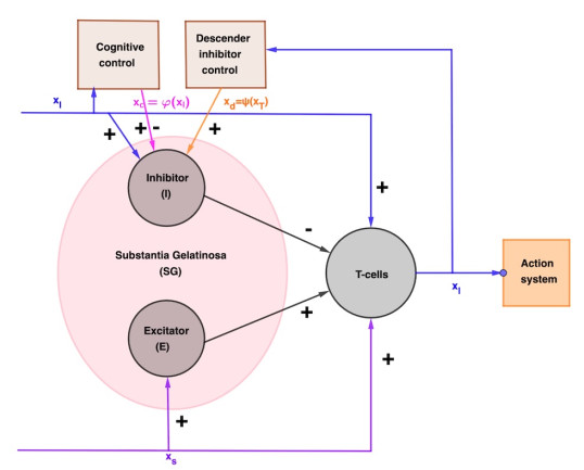 A bang-bang optimal control for a nonlinear system modeling the Gate ...