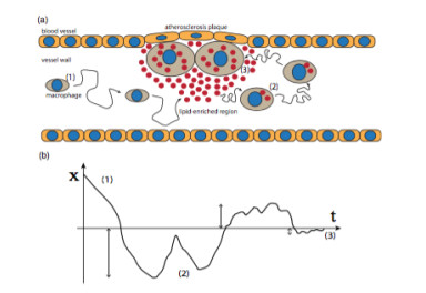 Concentration in an advection-diffusion model with diffusion ...