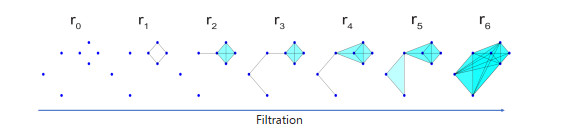 Persistent Mayer homology and persistent Mayer Laplacian